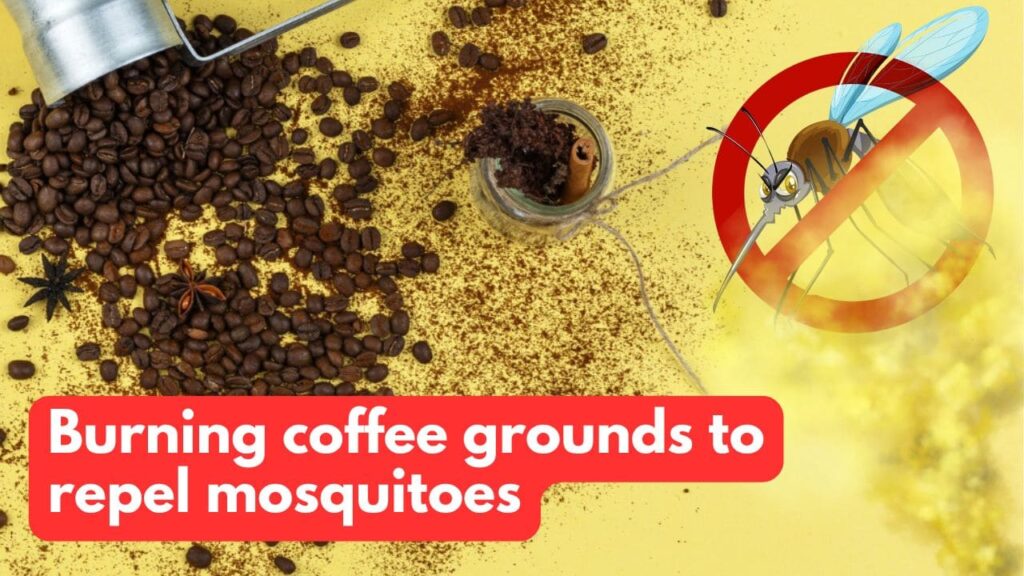 Using Coffee Grounds to Keep Mosquitoes Away