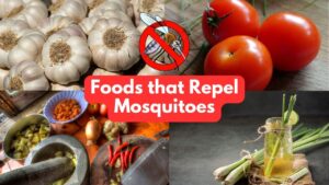 List of Foods That Repel Mosquitoes - MosquiTalk