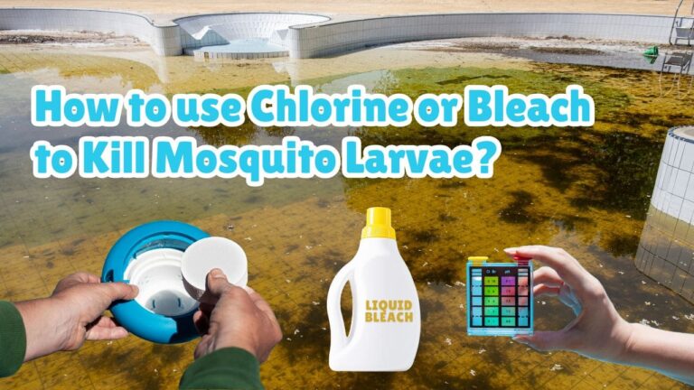 Use Chlorine or Bleach to Kill Mosquito Larvae in pool - MosquiTalk