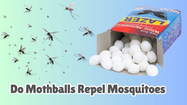 Do Mothballs Keep Mosquitoes Away?