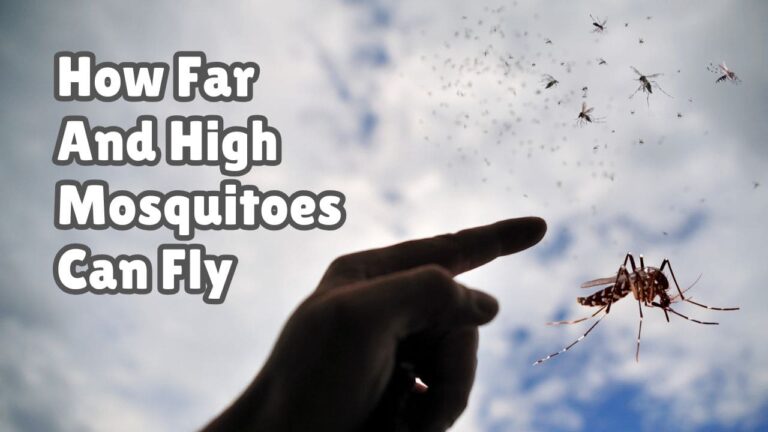 Mosquitoes: How Far and High They Can Fly?